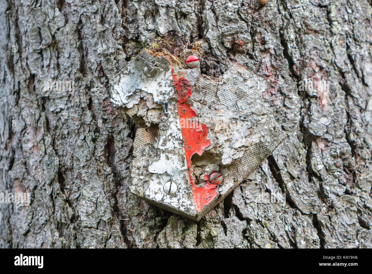 Walking path sign in Austria, flag painted on a tree Stock Photo - Alamy