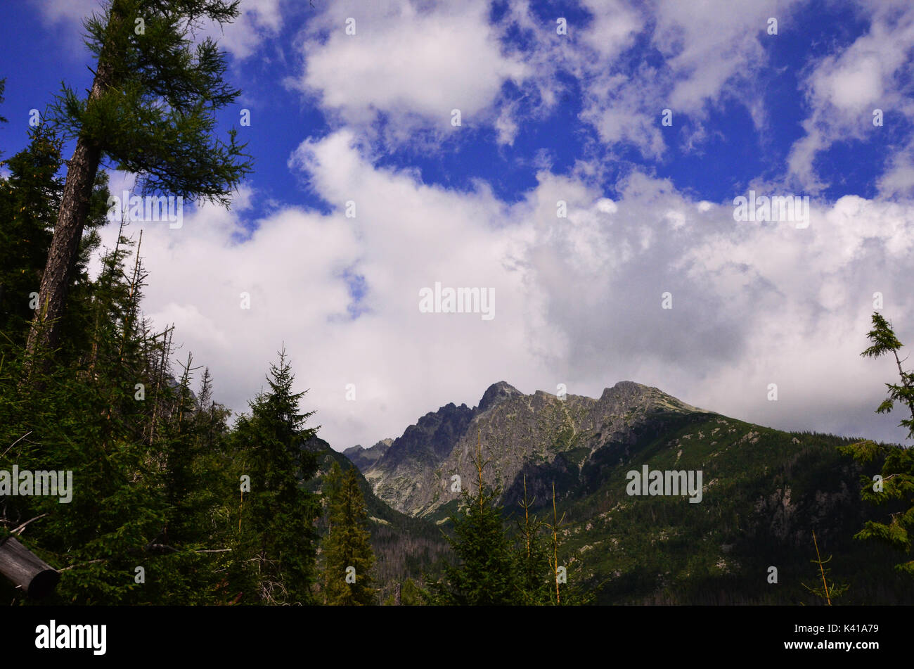 Visokie tatri hi-res stock photography and images - Alamy