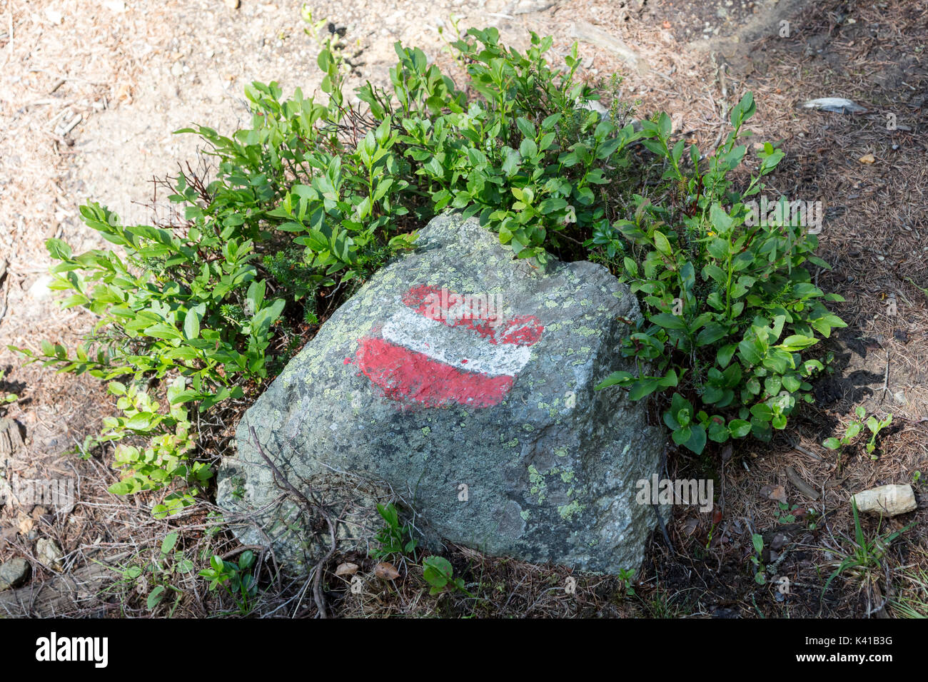 Walking path sign in Austria, flag painted on a rock Stock Photo - Alamy