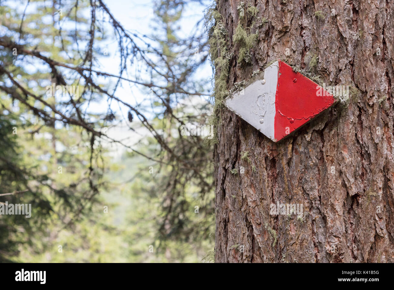 Walking path sign in Austria, flag painted on a tree Stock Photo - Alamy