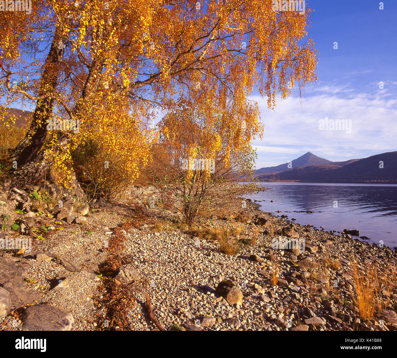 Magnificent autumn scene on the north shore of Loch Rannoch looking ...