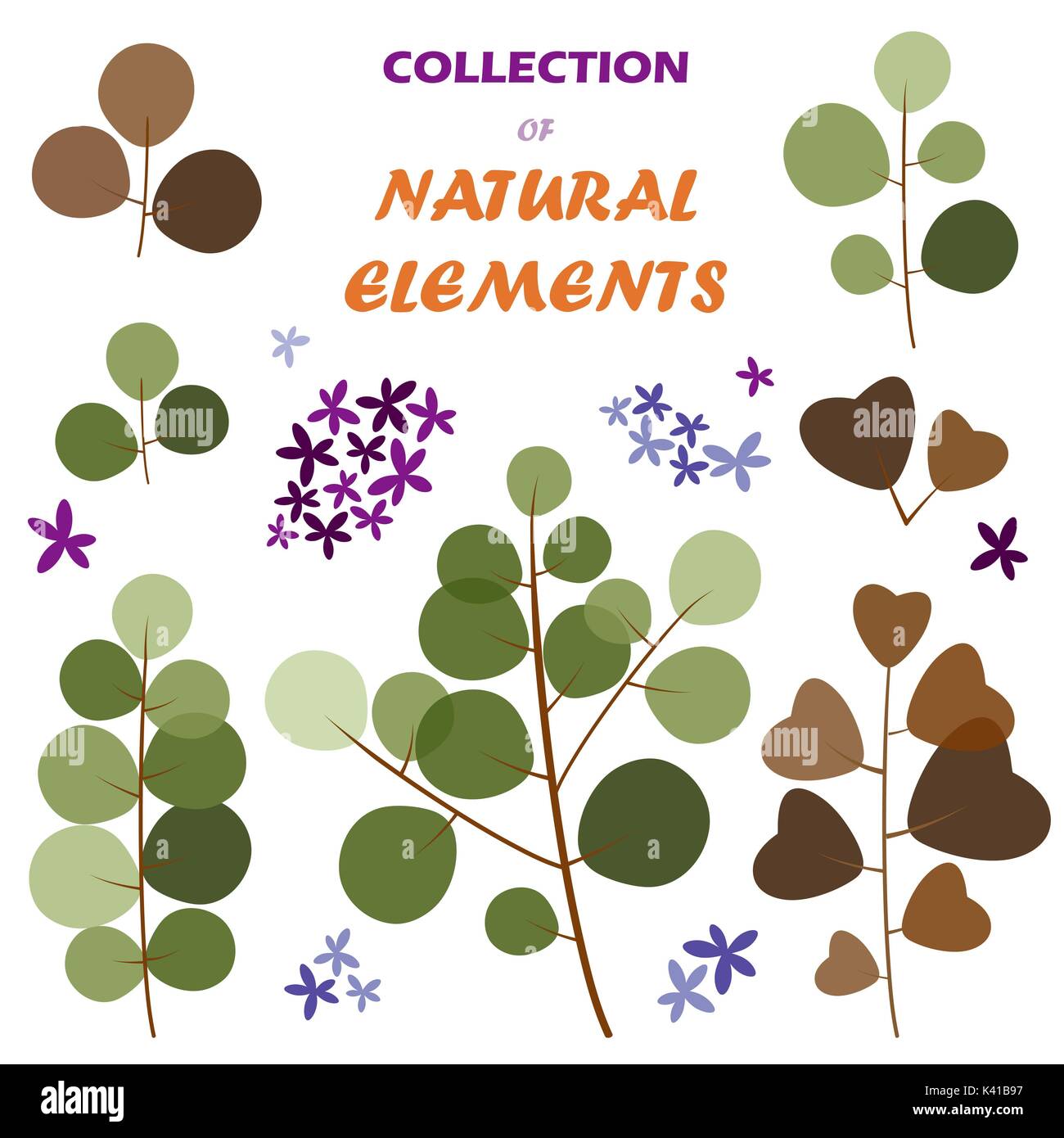 Collection of vector natural elements Stock Photo - Alamy