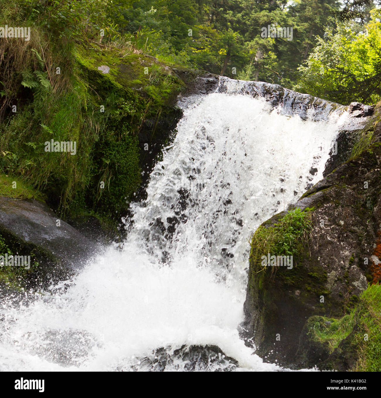 Triberg Falls, one of the highest waterfalls in Germany - the Black ...