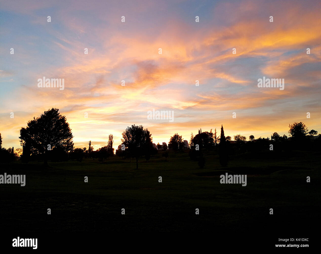 Beautiful sunset with silhouettes of trees Stock Photo - Alamy