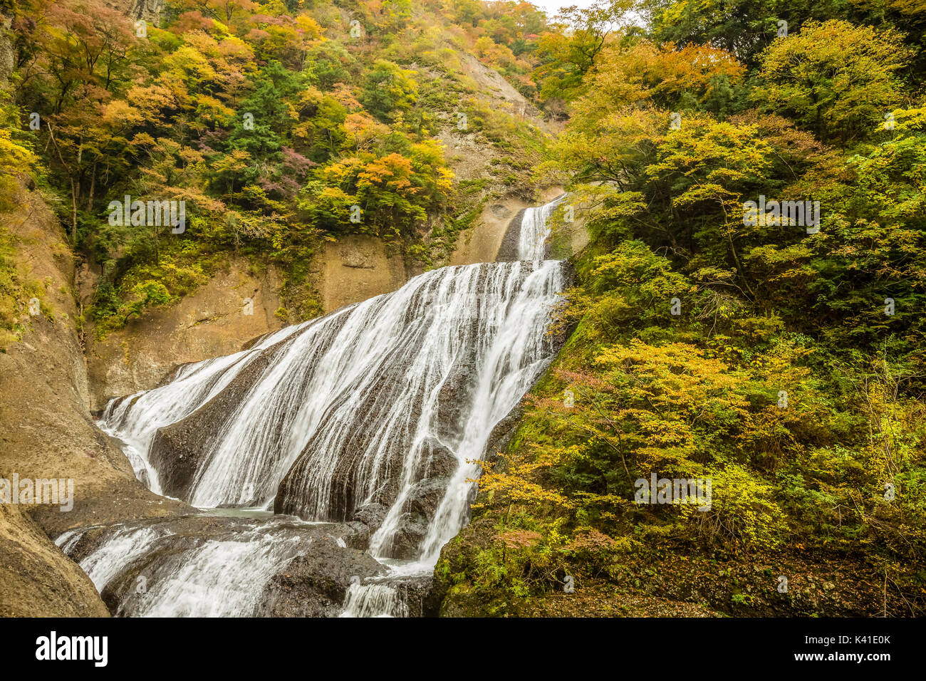 Animals Autumn Waterfall