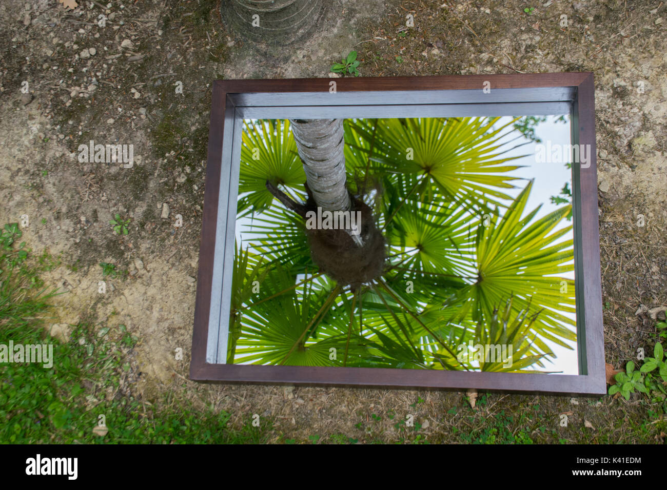 Low floor mirror hi-res stock photography and images - Alamy