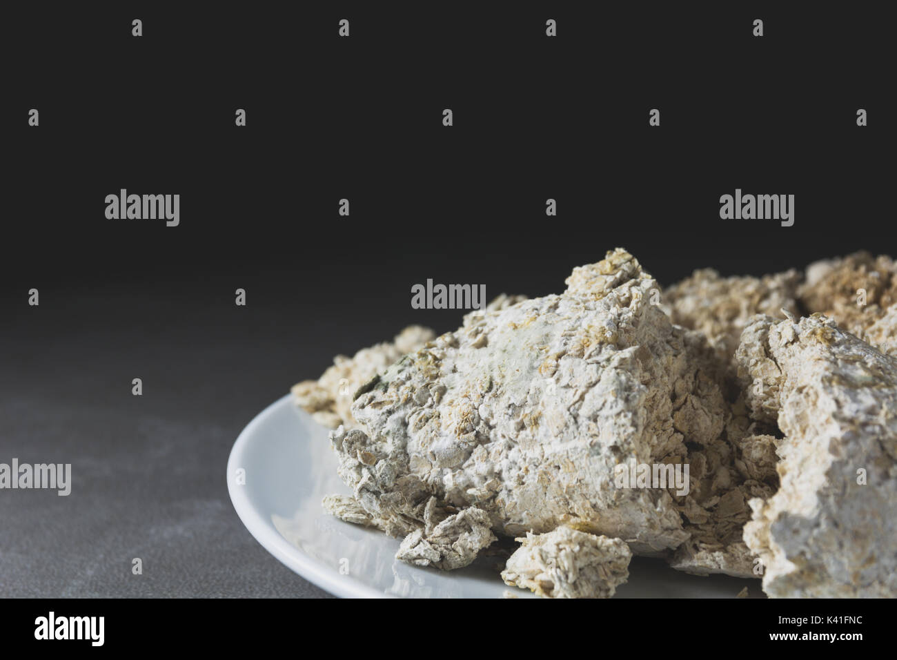 Bread mold spores closeup hi-res stock photography and images - Alamy