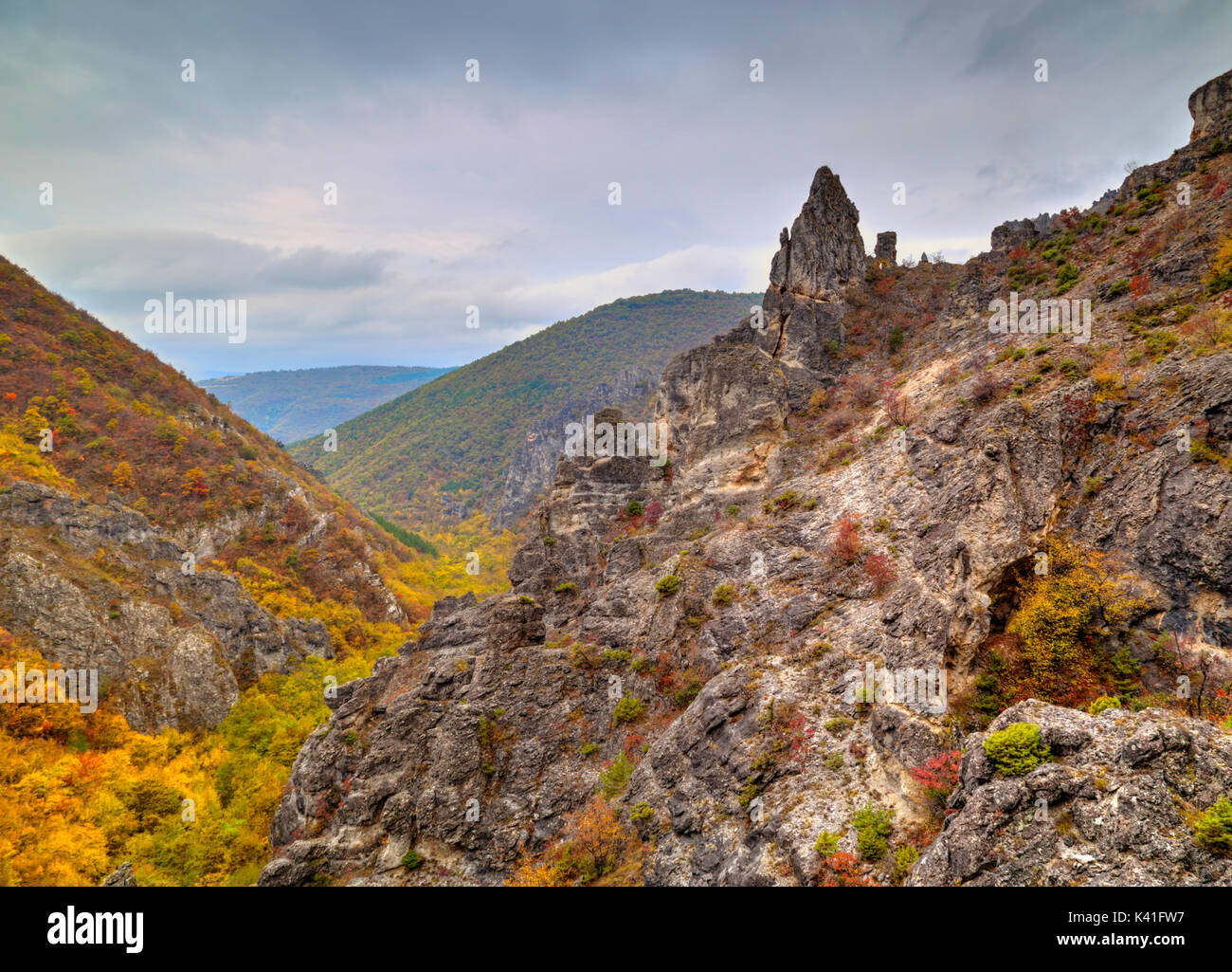 Beautiful mountain landscape with colorful autumn forest Stock Photo ...