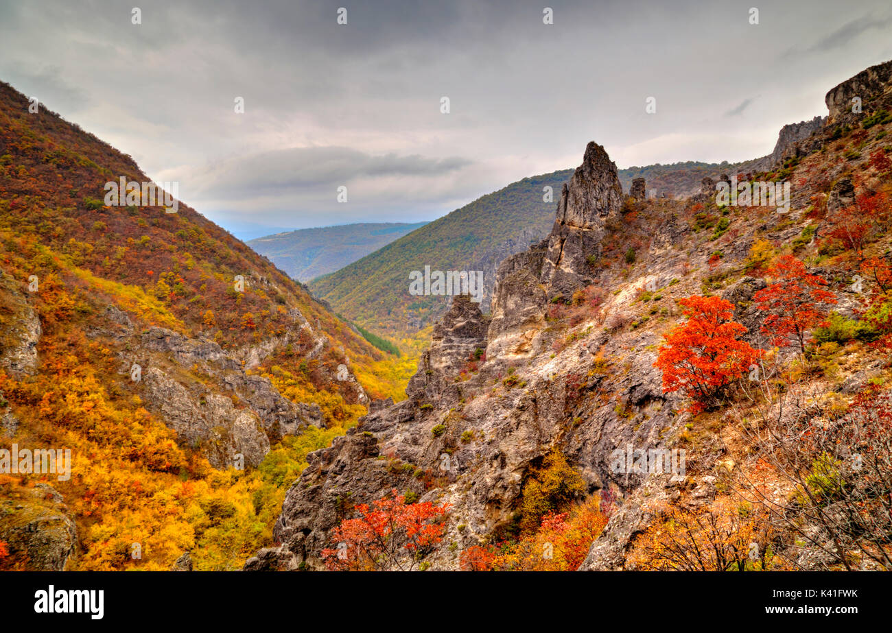 Beautiful mountain landscape with colorful autumn forest Stock Photo ...