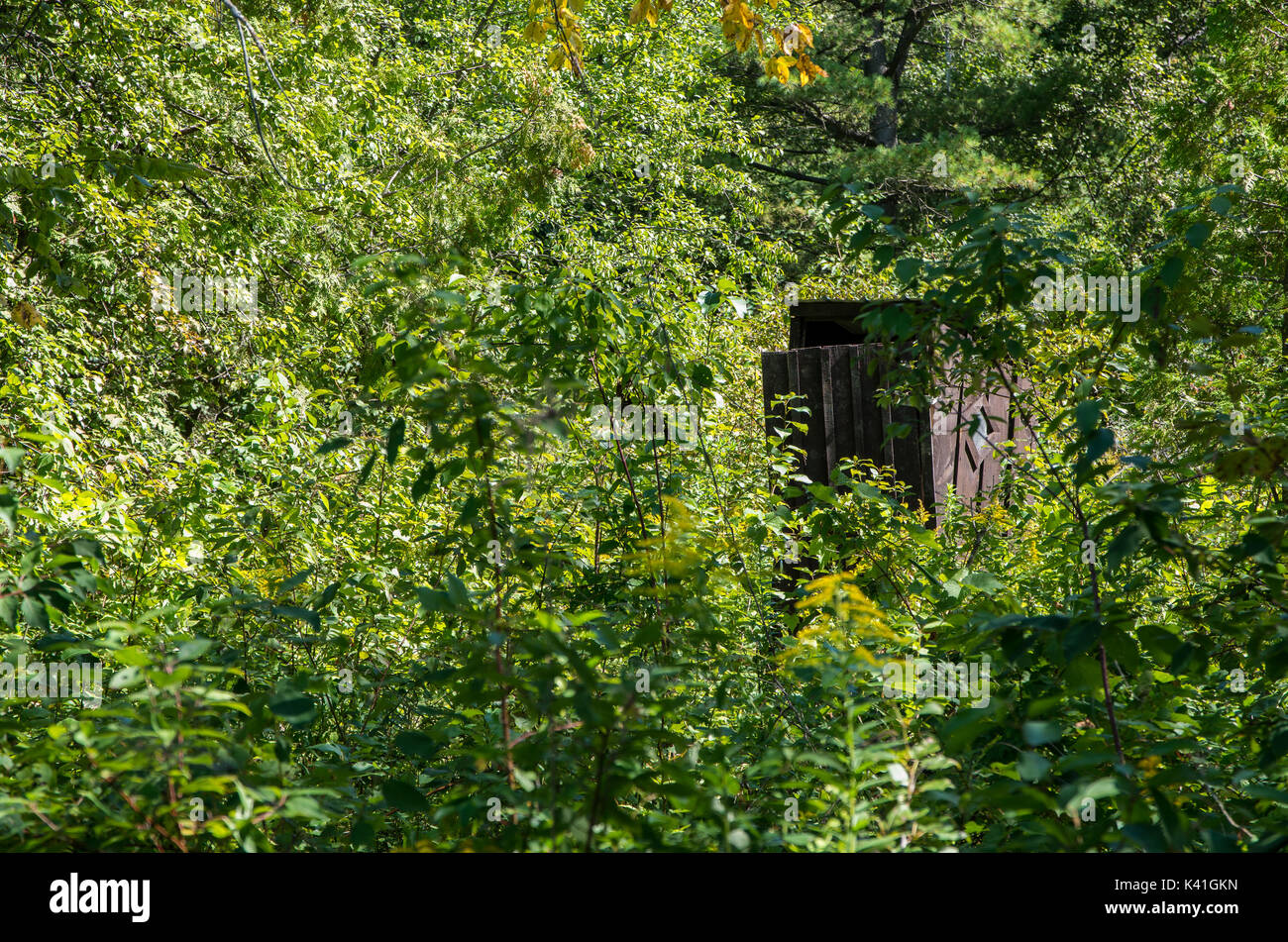 Outhouse in forest hi-res stock photography and images - Alamy