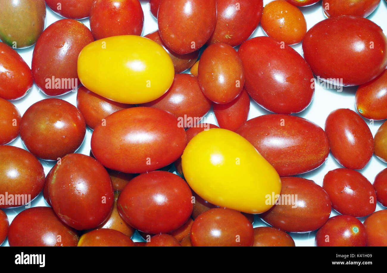 Mixed yellow and red italian pomodorino Stock Photo - Alamy