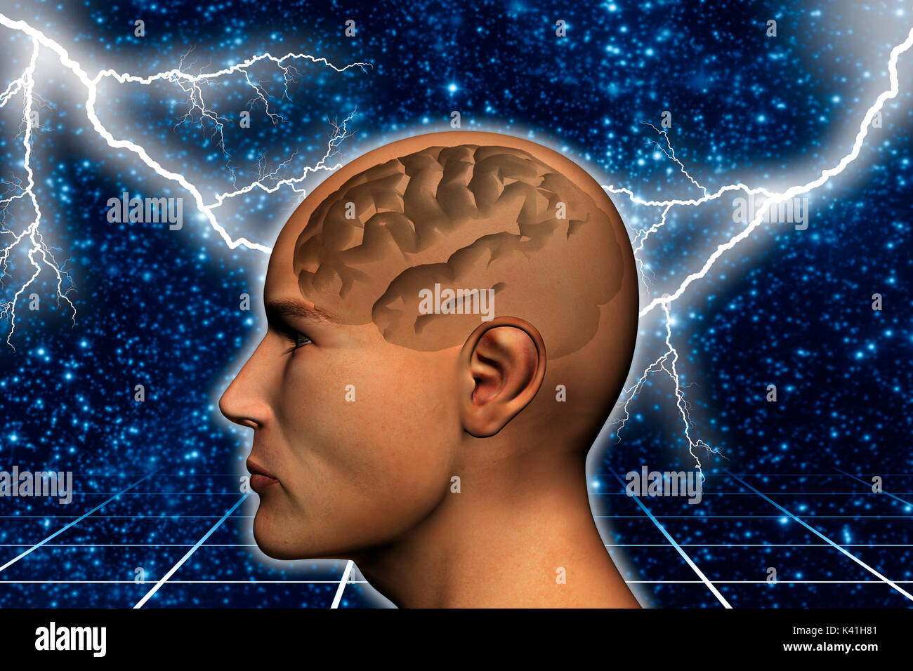 human head and brain seen through, brainstorming of ideas concept Stock ...