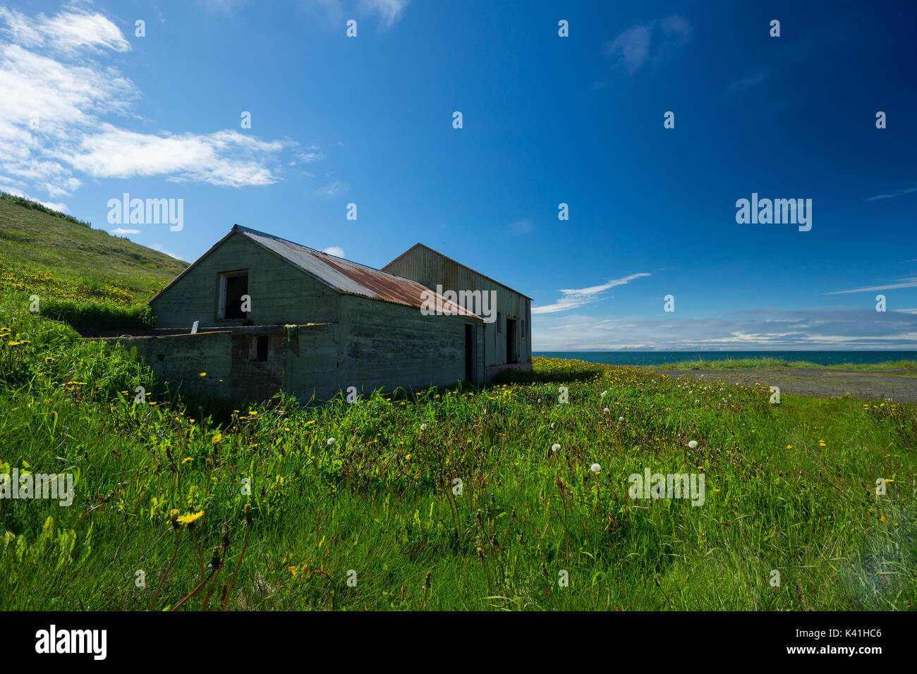 Iceland - Old barn on green field with blue sky and ocean behind Stock ...