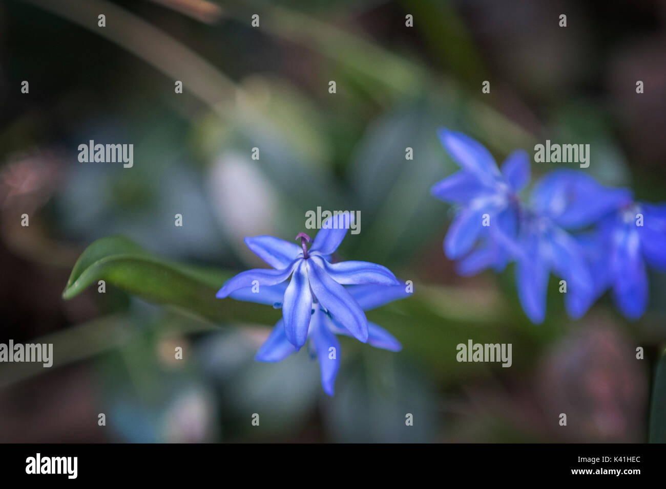 Spring bright colours hi-res stock photography and images - Alamy