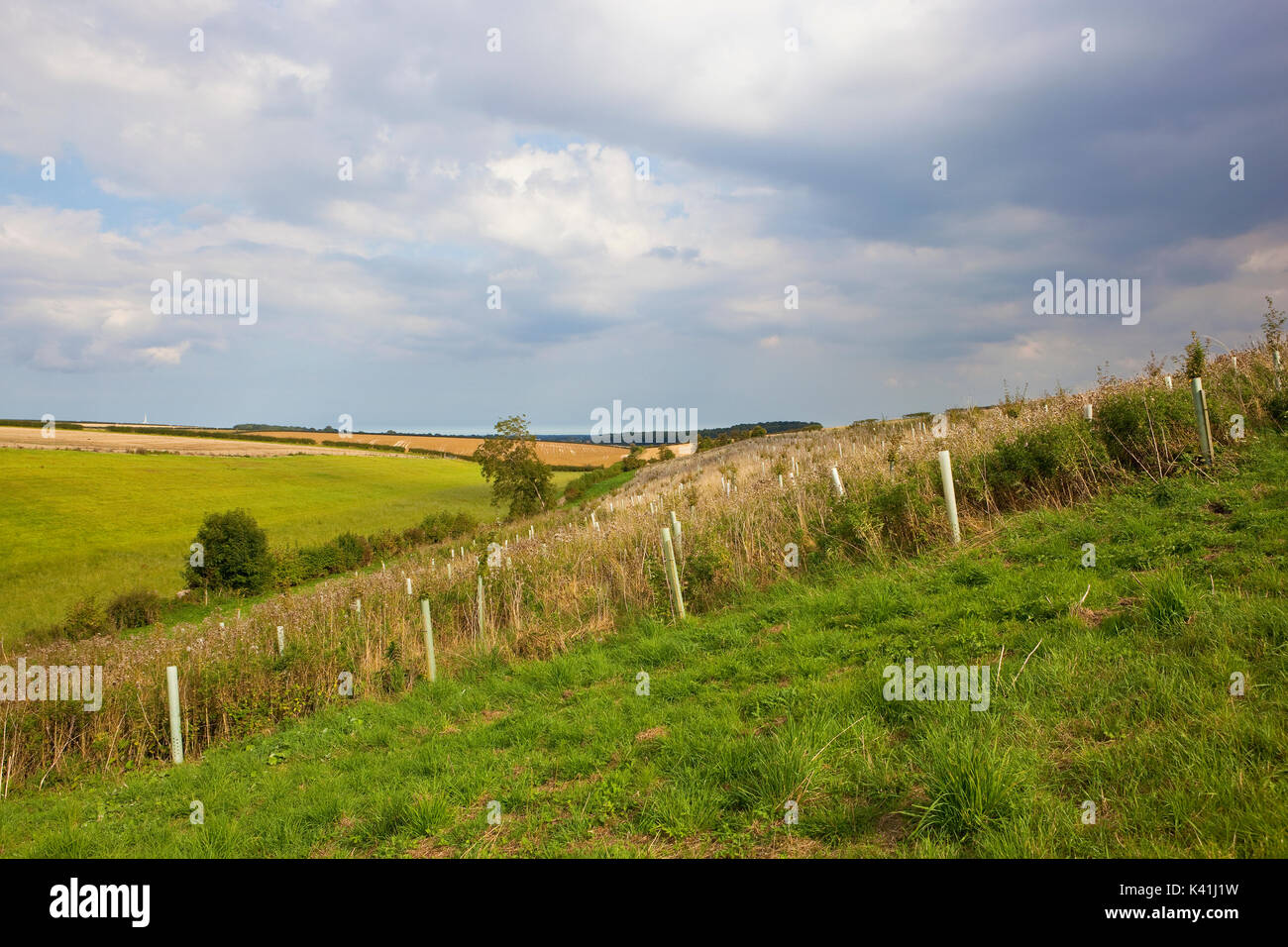 Hillside slope hi-res stock photography and images - Alamy