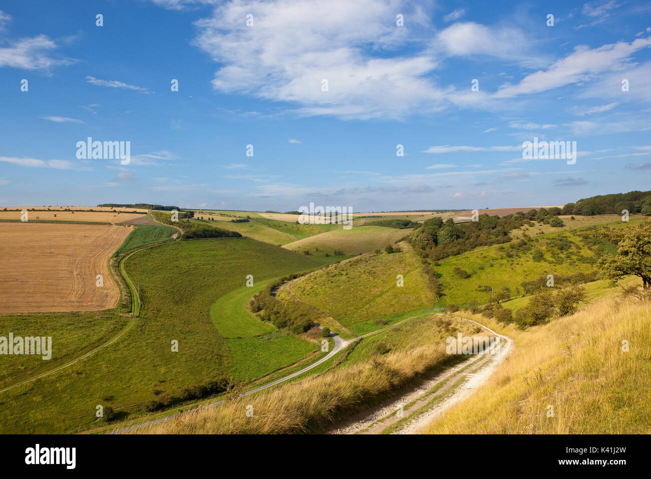 a scenic valley with pastures trees and hedgerows under a blue summer ...