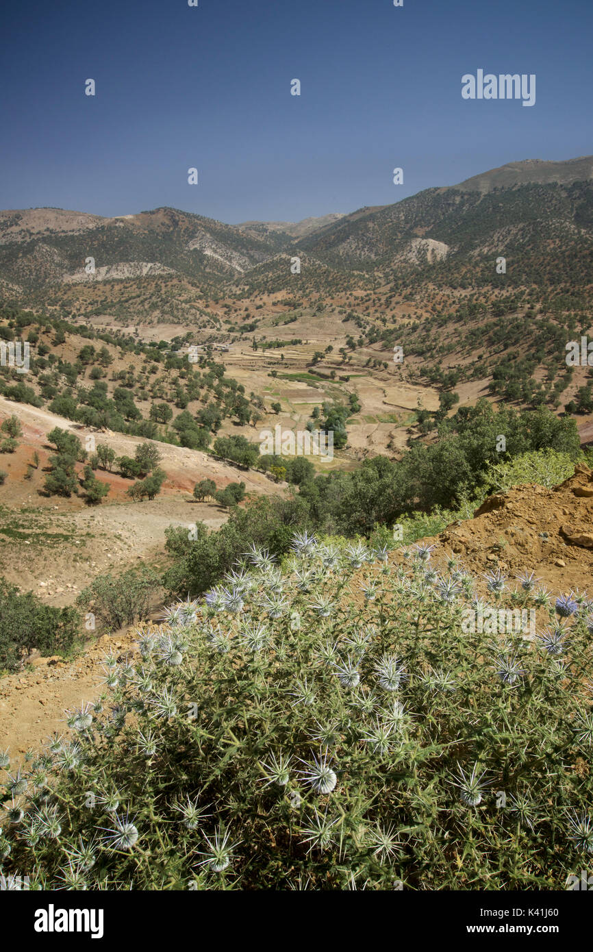 Rural countryside near Ardakan, Fars Province, Iran Stock Photo - Alamy