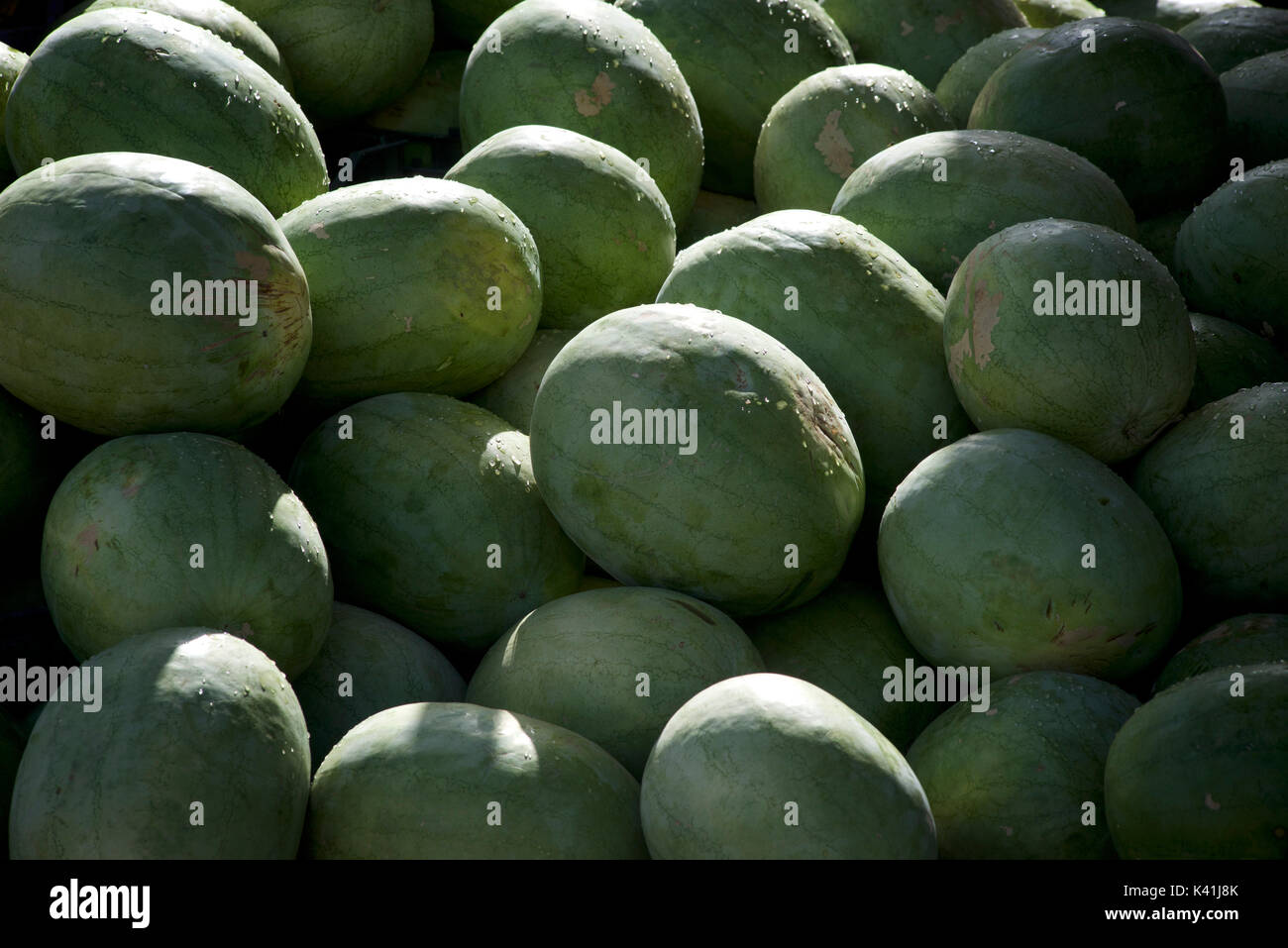 Watermelons for sale at market, Iran Stock Photo - Alamy