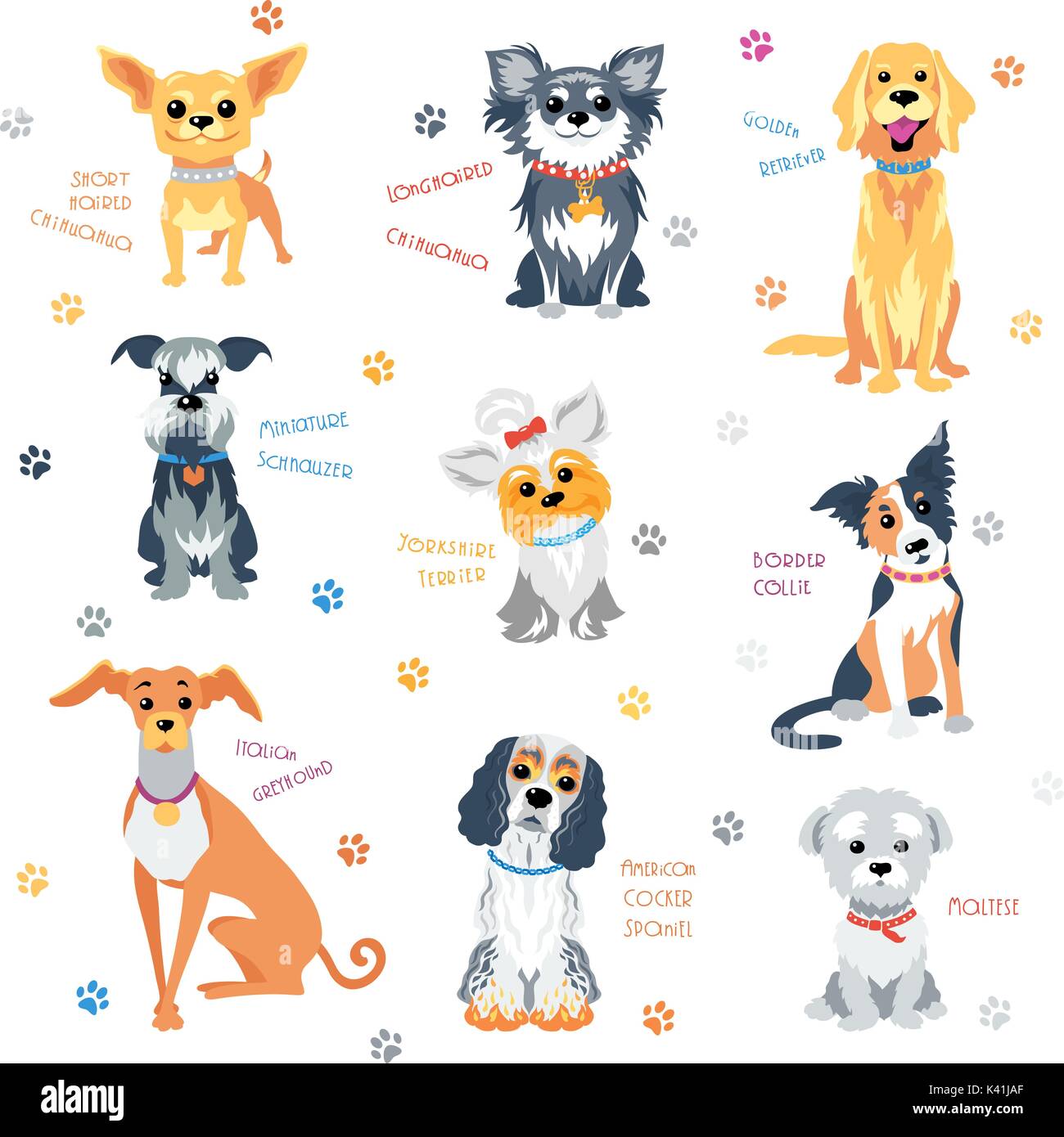American collie puppy Stock Vector Images - Alamy