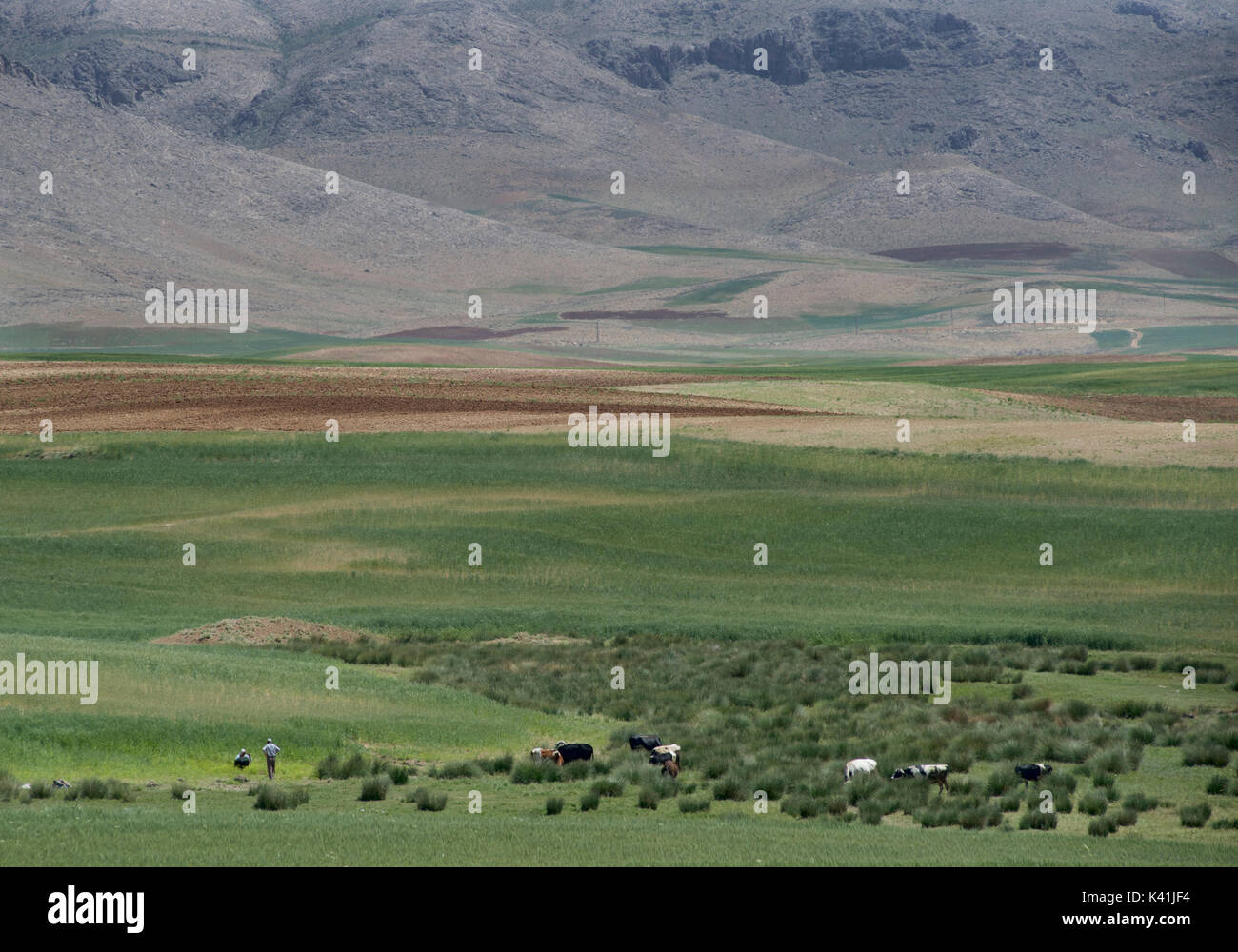 Rural Iran. Chaharmahal and Bakhtiari province, Iran Stock Photo - Alamy