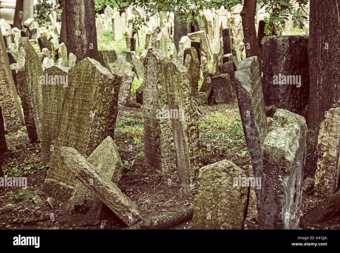 Jewish cemetery in Prague, Czech republic. Memorial place. Many graves ...