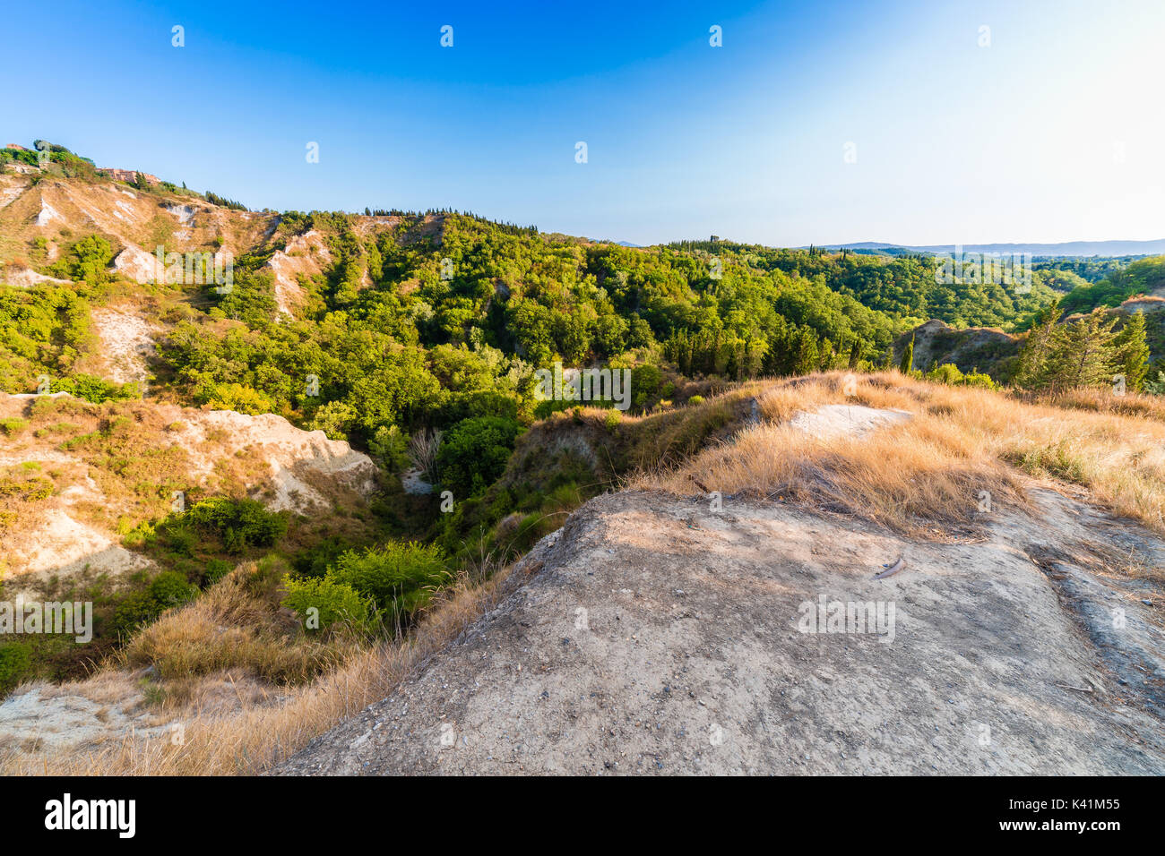 green weeds and arid rocks the region of badlands under the sun of ...