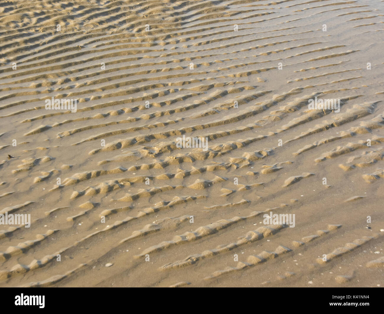 water and sand long the shoreline of an Italian beach Stock Photo - Alamy