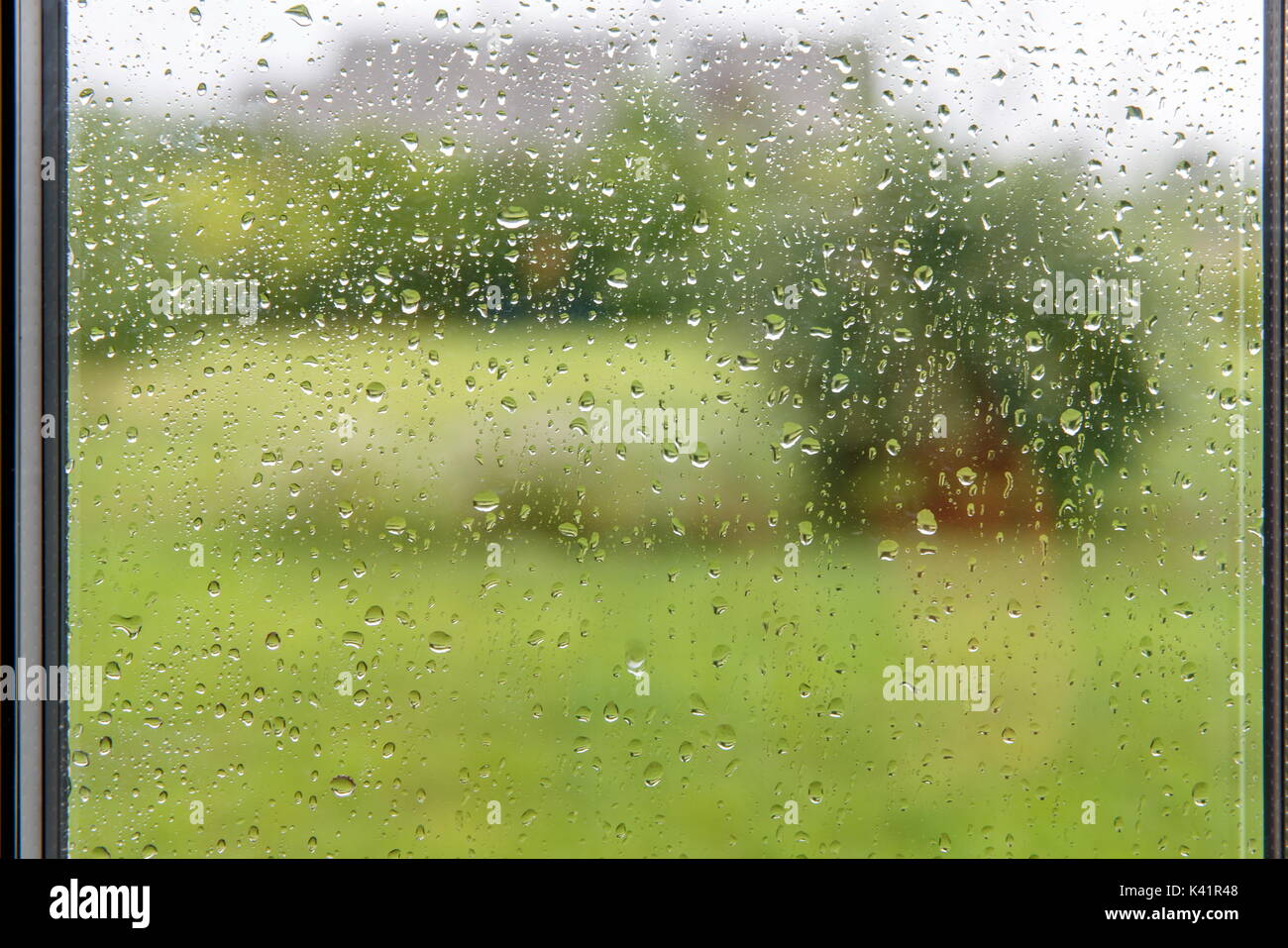 Steam after rain hi-res stock photography and images - Alamy