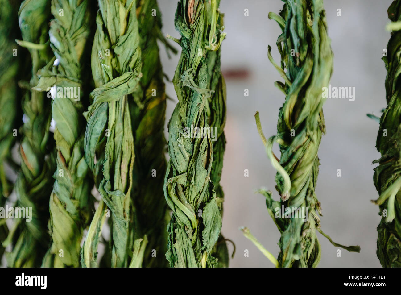 Aveluk horse sorrel dried Stock Photo - Alamy