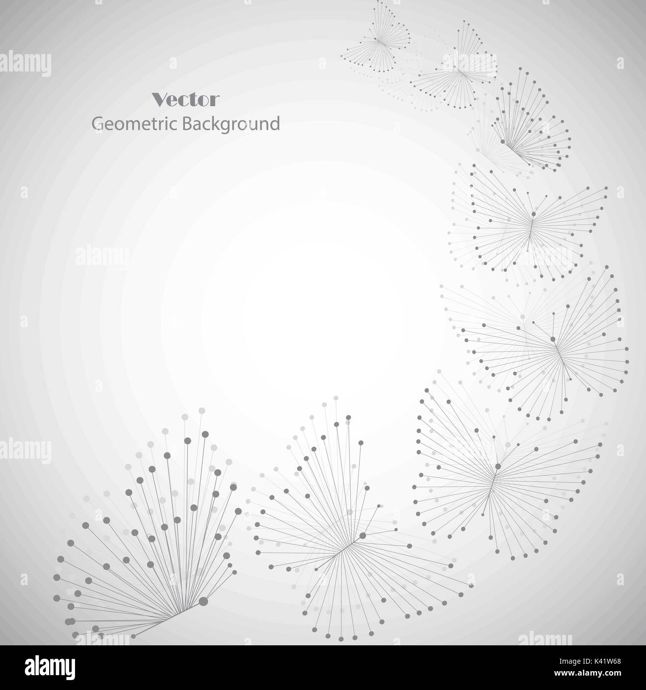 Insect with dots Black and White Stock Photos & Images - Alamy