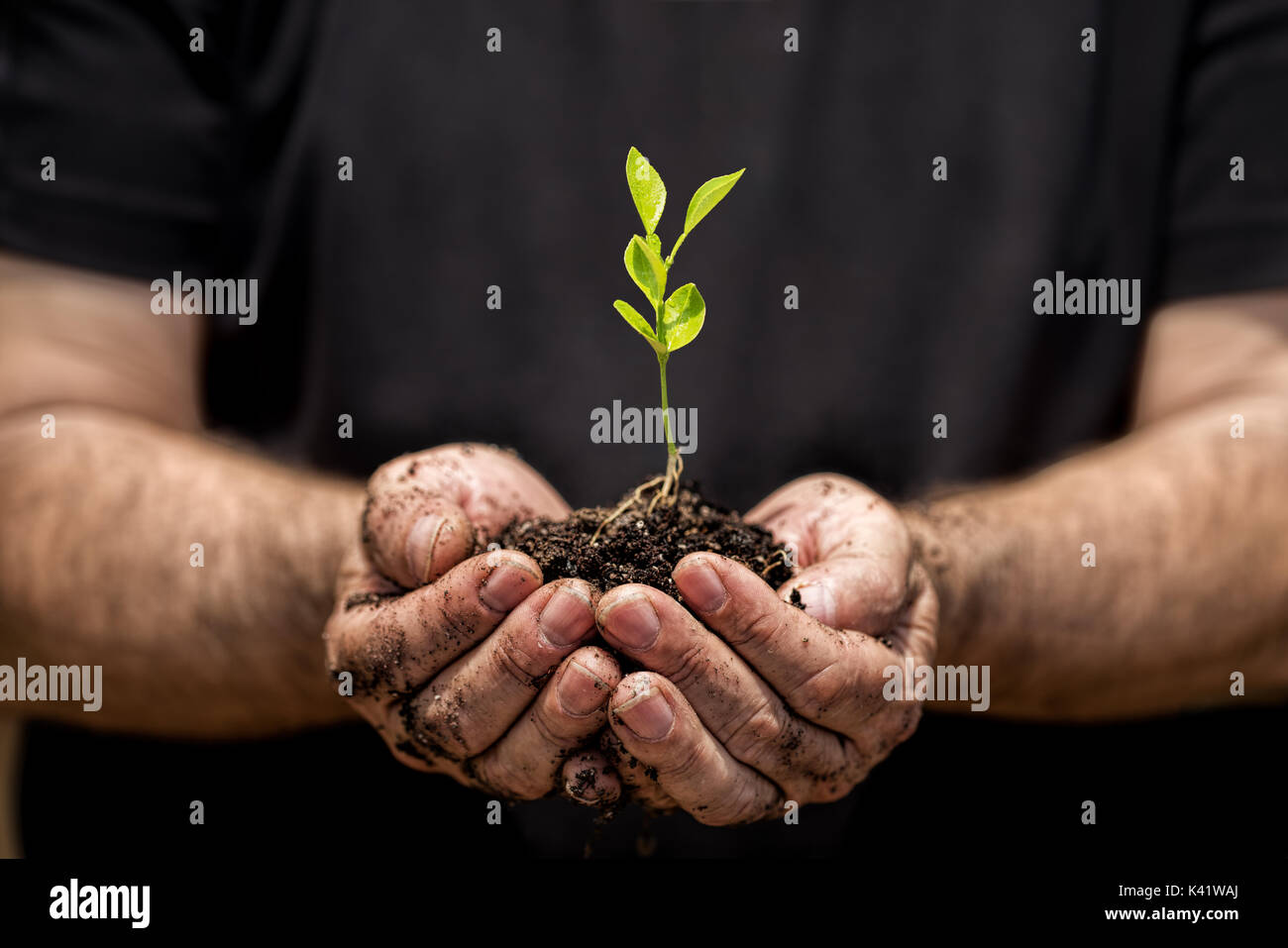 Growing plant on hand hi-res stock photography and images - Alamy