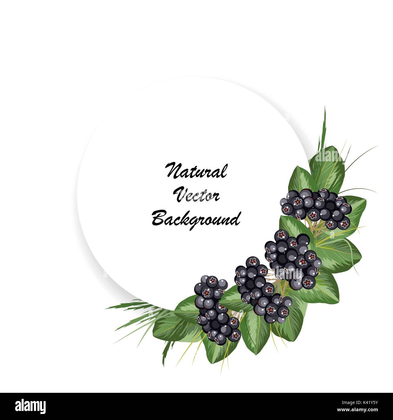 Natural vector background Stock Vector Image & Art - Alamy