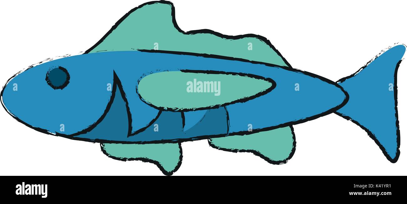 Isolated fish design Stock Vector Image & Art - Alamy