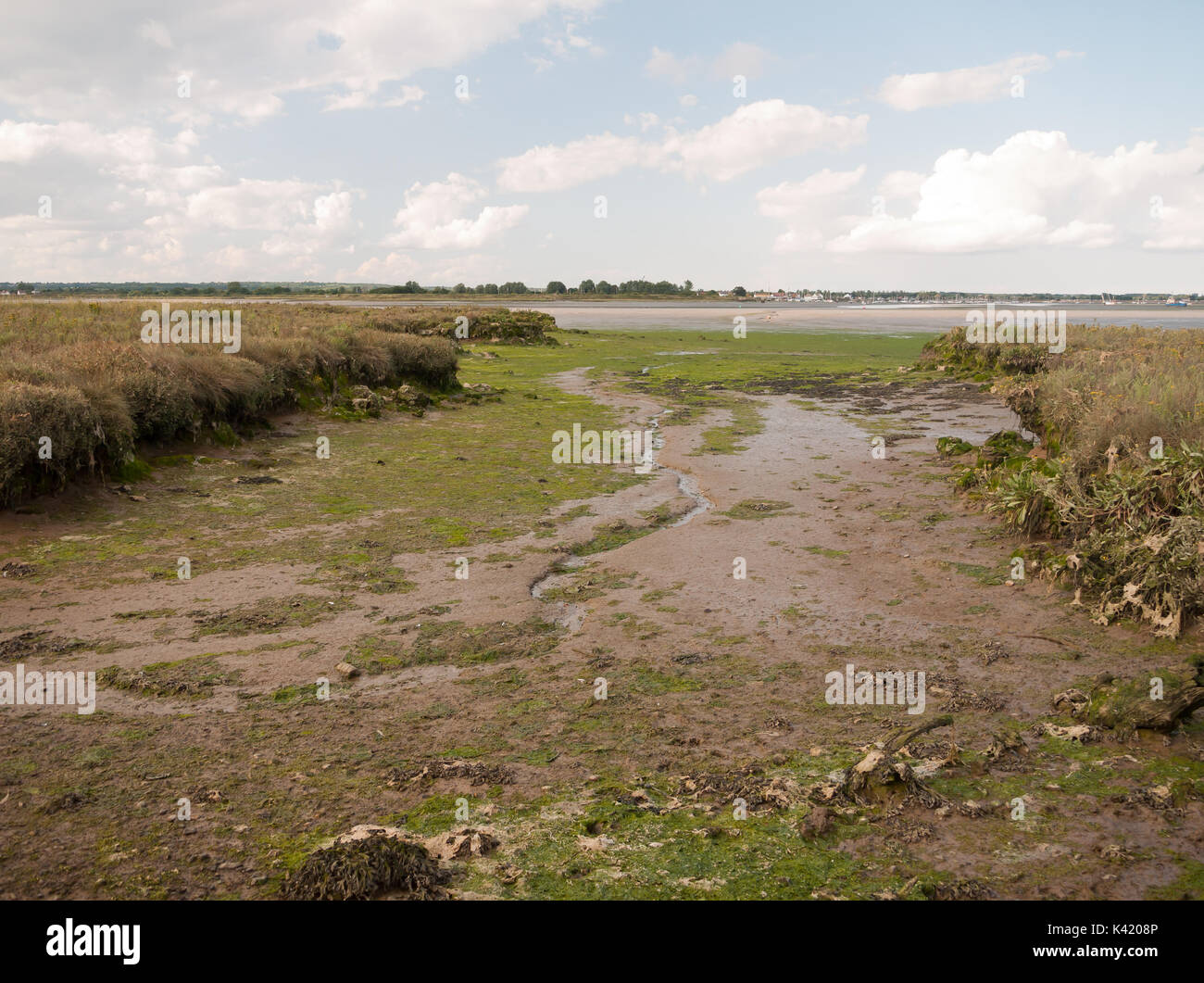 Wet flat mud flats hi-res stock photography and images - Alamy