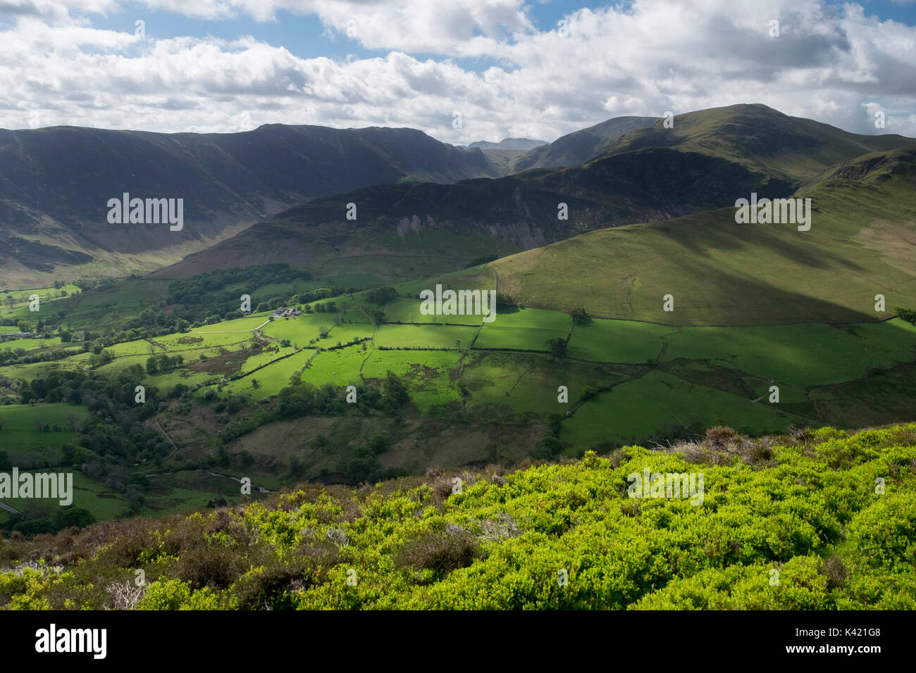 High Snab Bank and Dale Head from Ard Crags, Lake District, Cumbria ...