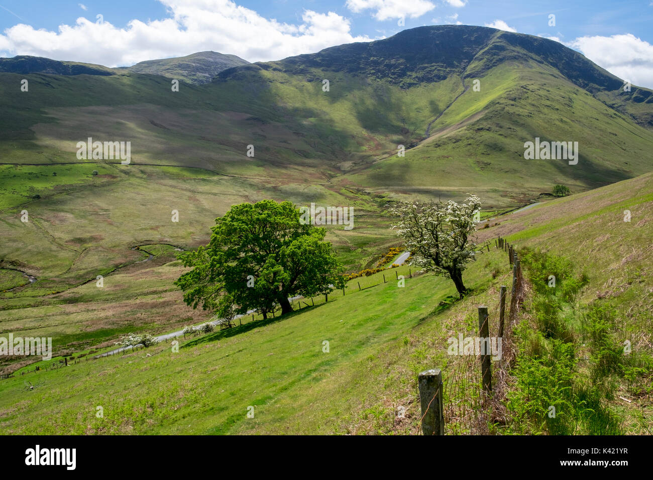 Rigg beck hi-res stock photography and images - Alamy