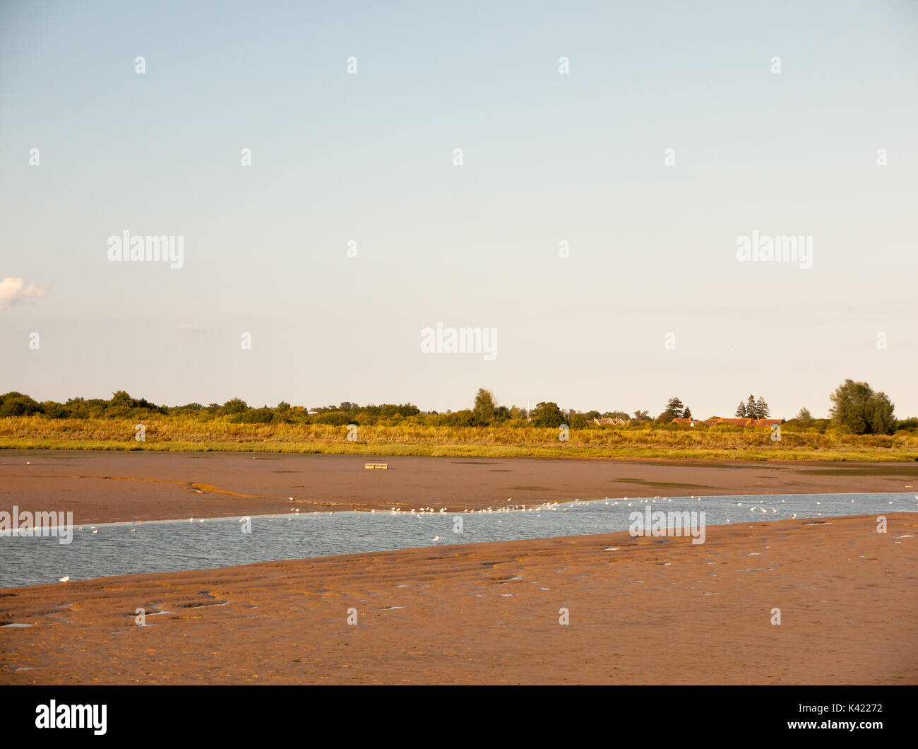 a stream river running through country Maldon blackwater england with ...
