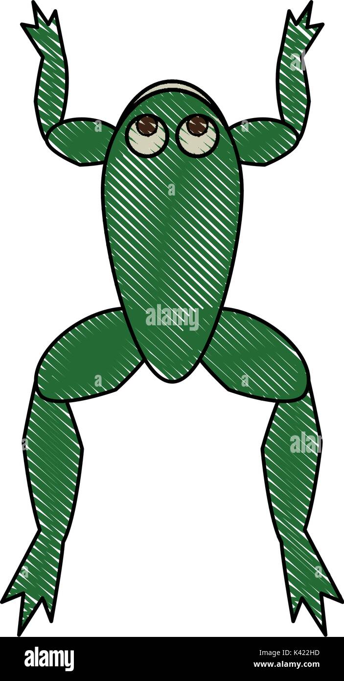 Isolated toad design Stock Vector Image & Art - Alamy