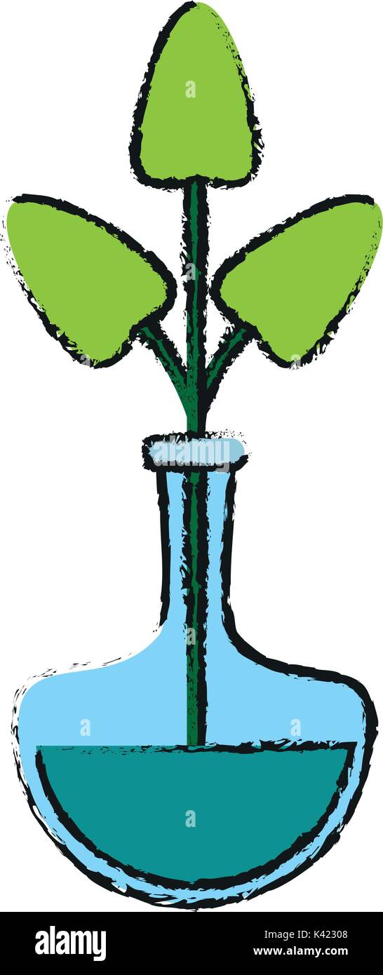 Isolated plant design Stock Vector Image & Art - Alamy