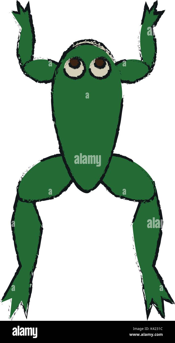 Toad illustrations Stock Vector Images - Alamy