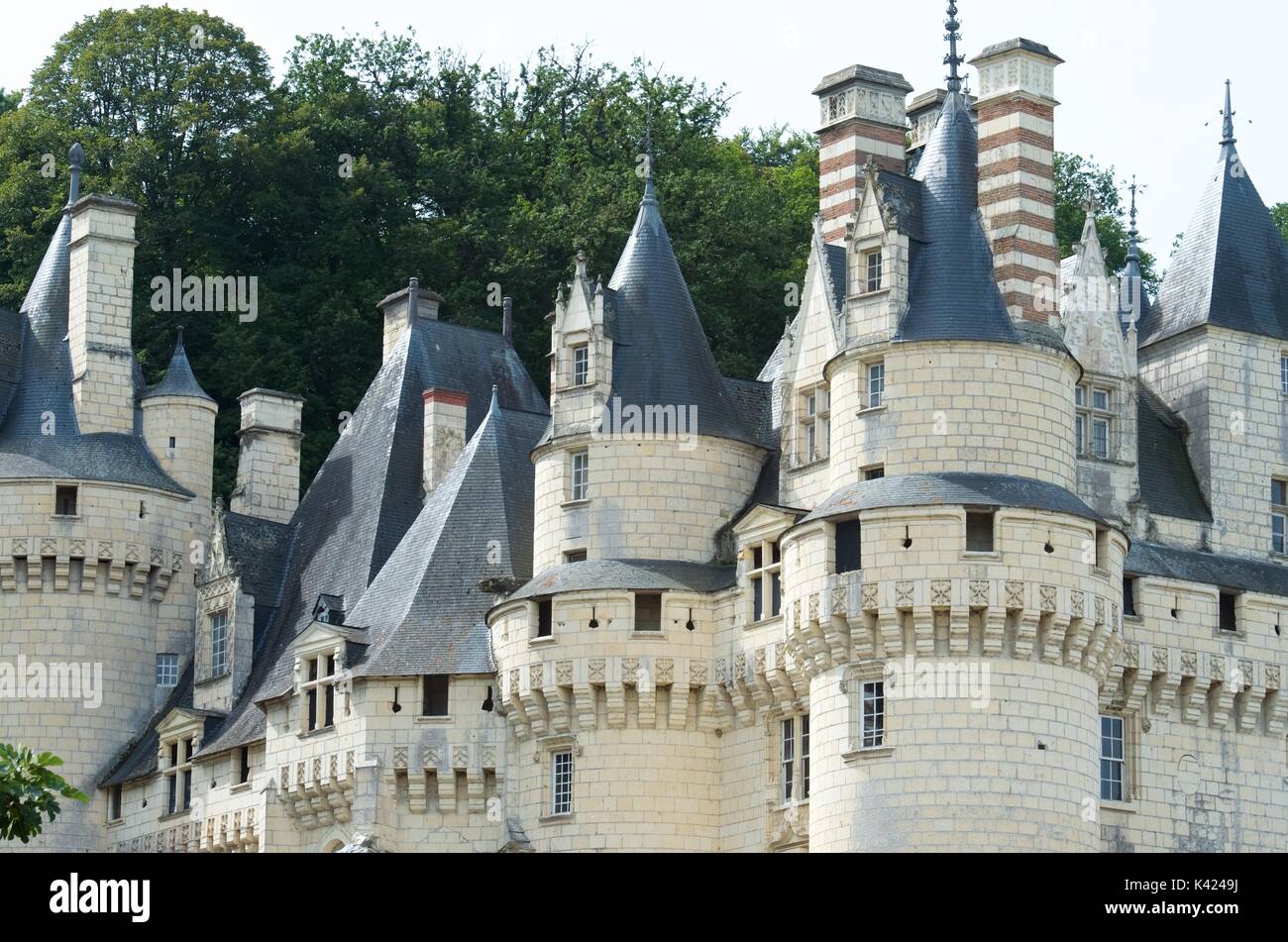 Usse Castle in Loire Valley, Rigny-Usse, France. Known as the Sleeping ...