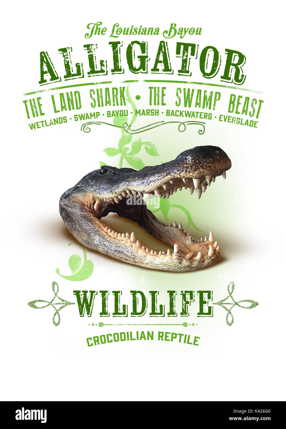 New Orleans French Quarter Culture Collection Stock Photo - Alamy