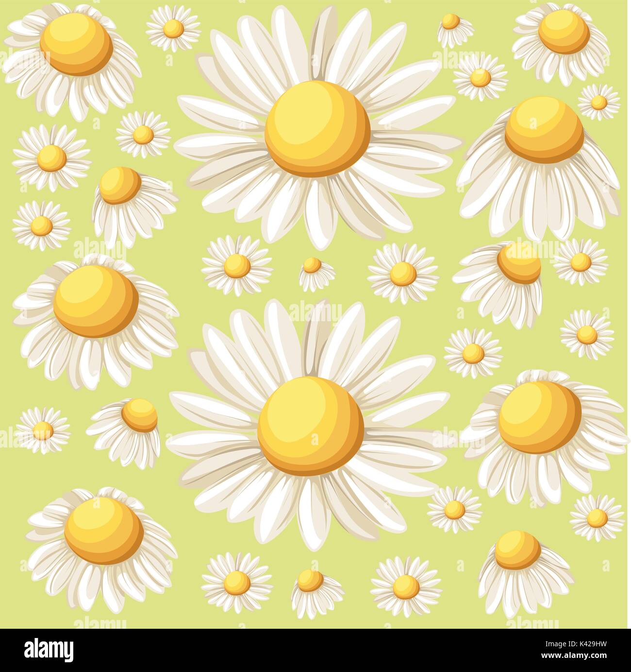 Bouquet realistic daisy, camomile flowers on white background. Vector ...