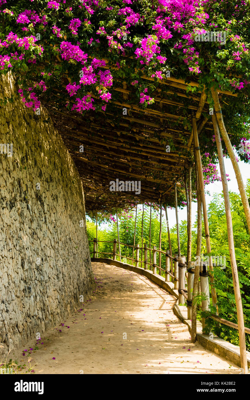 Walking path covered by tropical flowers and bamboo roof structure ...