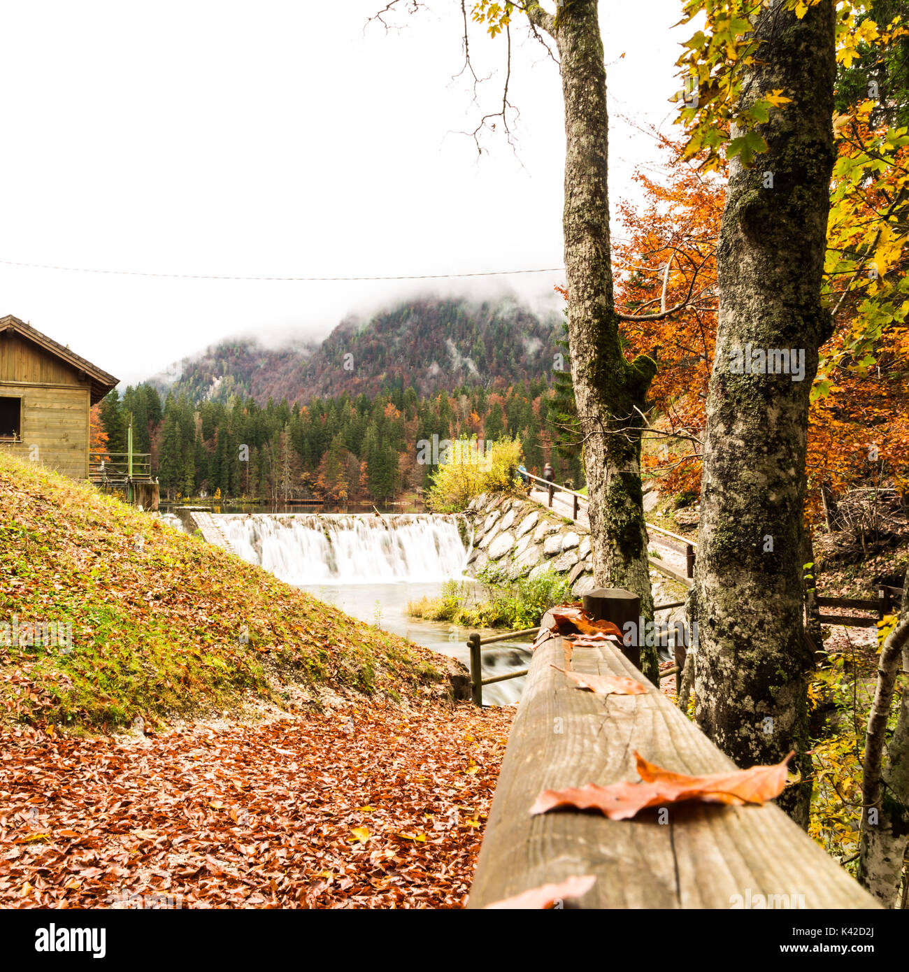 Fall in the italian alps in a misty day Stock Photo - Alamy