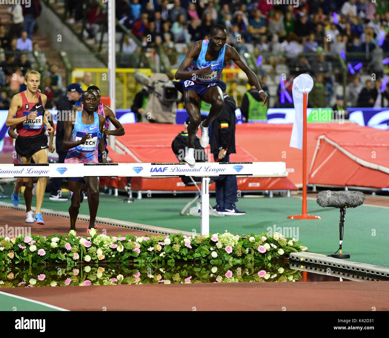 Mens 3000m action during IAAF Diamond League at King Baudouin Stadium ...