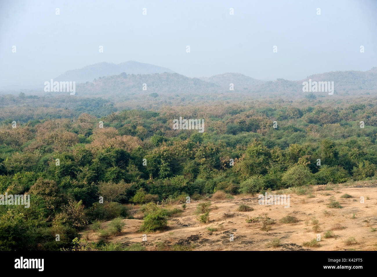 View of valley and forest, Gir Forest National Park and Wildlife ...