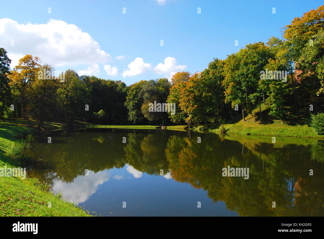 Lithuanian forest hi-res stock photography and images - Alamy