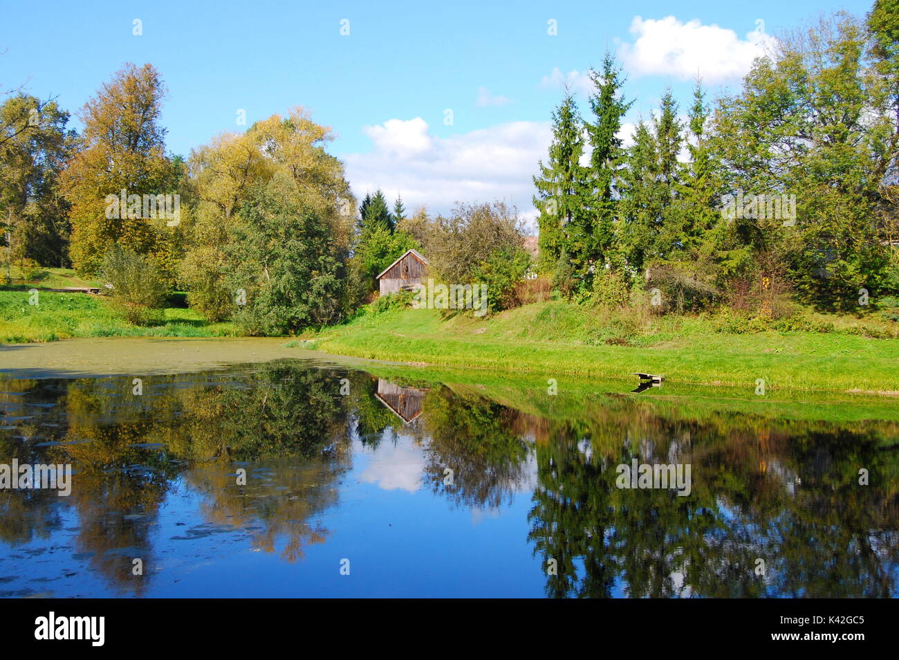 Lithuanian forest hi-res stock photography and images - Alamy