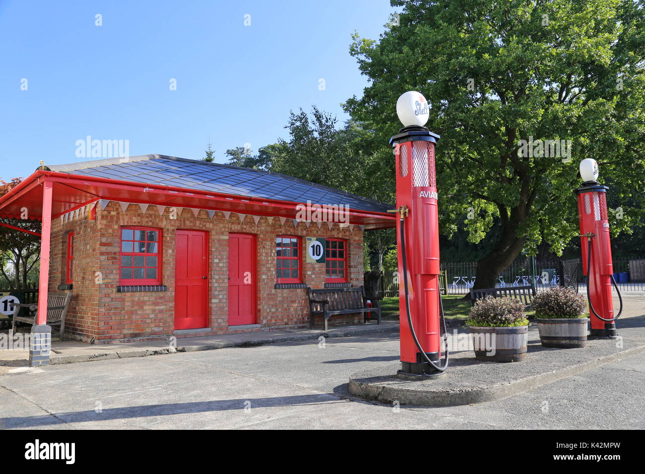 Shell collection display hi-res stock photography and images - Alamy